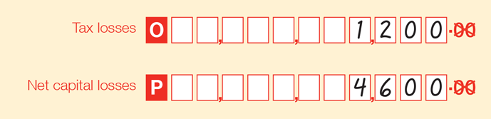 Part C Ownership test and business continuity test | Australian ...